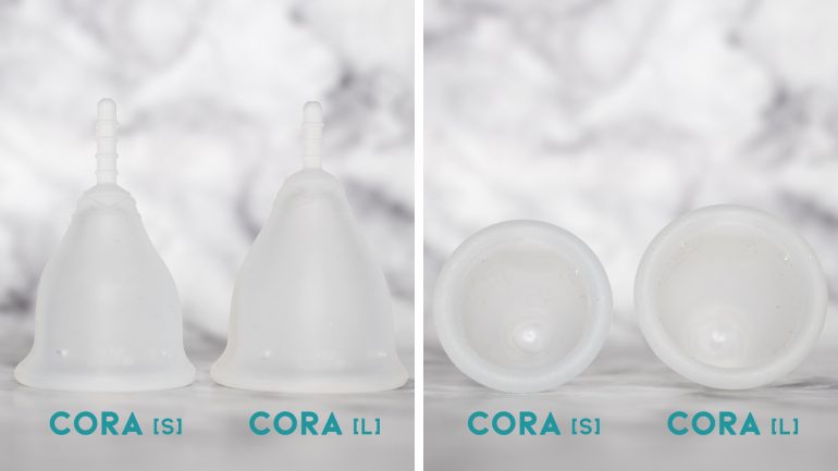 Cora Size Comparison - Put A Cup In It